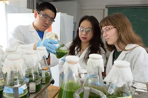 Biosystems Engineering Bs Department Of Biosystems And Agricultural