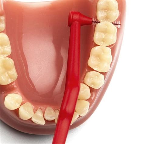 The Angled Tepe Interdental Brushes Alphadent Supplies