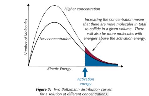 Kinetics Flashcards Quizlet