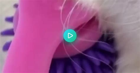 Massage Album On Imgur