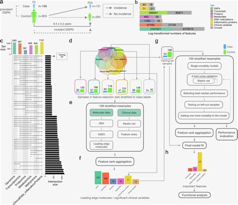 Interpretable Multimodal Machine Learning Imml Framework Reveals Pathological Signatures Of