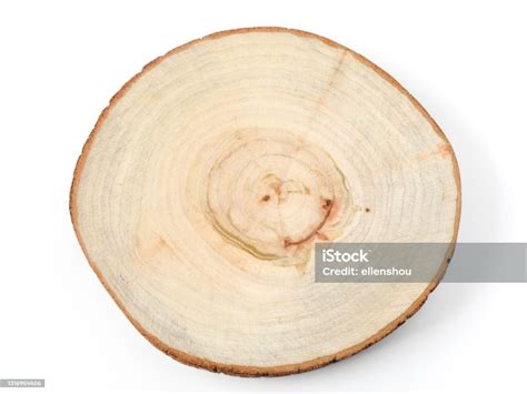 흰색 배경에 격리 된 나무 조각의 상단 보기 복사 공간을 가지고 있습니다 자연과 나무 개념 0명에 대한 스톡 사진 및 기타 이미지 Istock