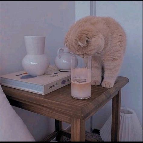 Безделушка Youtube