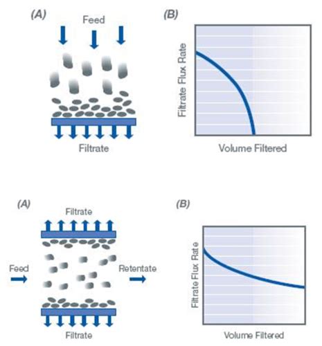 Downstream Processing Flashcards Quizlet