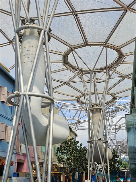 The Inside Canopy Support Structure R Mildlypenis