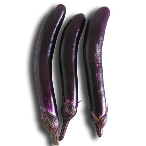 茄子菜品专区桂林和记农庄