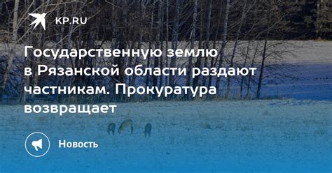Государственную землю в Рязанской области раздают частникам Прокуратура возвращает Kp Ru