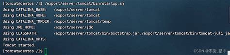 centos安装部署tomcat（10 1）手把手教程 tomcat10 1 csdn博客