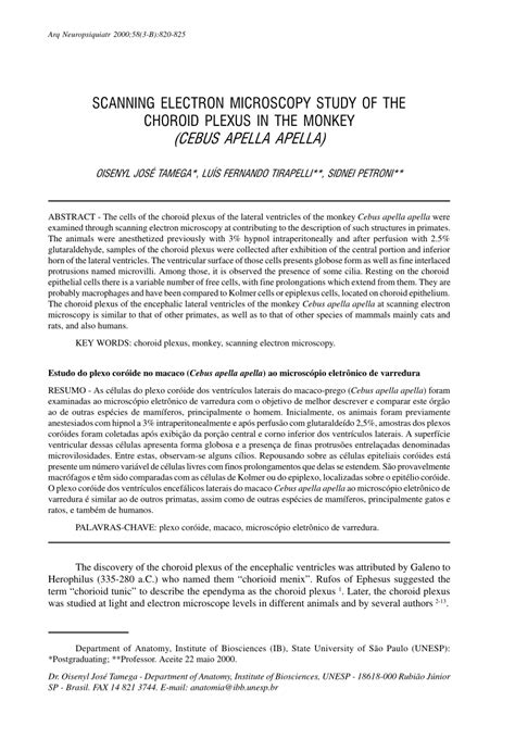 Pdf Scanning Electron Microscopy Study Of The Choroid Plexus In The