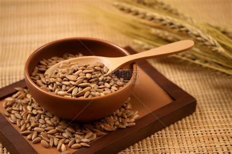 成熟的大麦高清图片下载 正版图片600273539 摄图网 成熟的大麦高清图片下载 正版图片600273539 摄图网