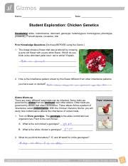 Student Exploration Chicken Genetics Understanding Course Hero