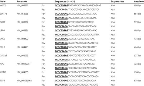 Primer Sequences And Amplicon Sizes For Pcr And In Situ Hybridization Download Table