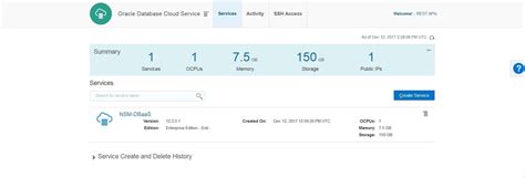 Netsoftmate Technical Blog Step 6 Oracle Dbcs Enable Access To A Compute Node Port