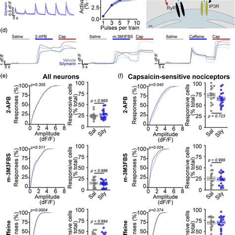 Silymarin Inhibits Intracellular Calcium Signaling Without Affecting Download Scientific
