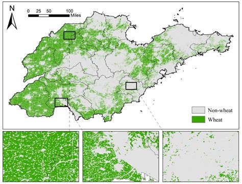 Spatial Distribution And The Close Up Views Of The Summer Harvest Crop