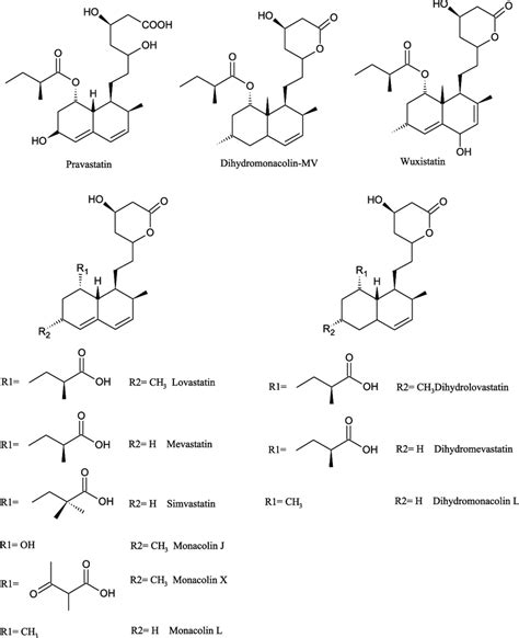 Structures Of Type I Statins Download Scientific Diagram