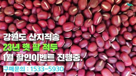 신바람 농산물 협력농가 판매상품 1533 5930 신선마켓com 1월 할인이벤트 진행중 강원도 산지직송 23년 햇