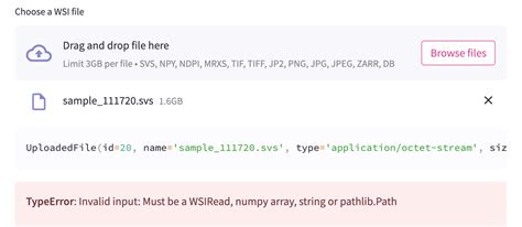 Can T Read An Svs Image Uploaded With St File Uploader Issue Streamlit Streamlit