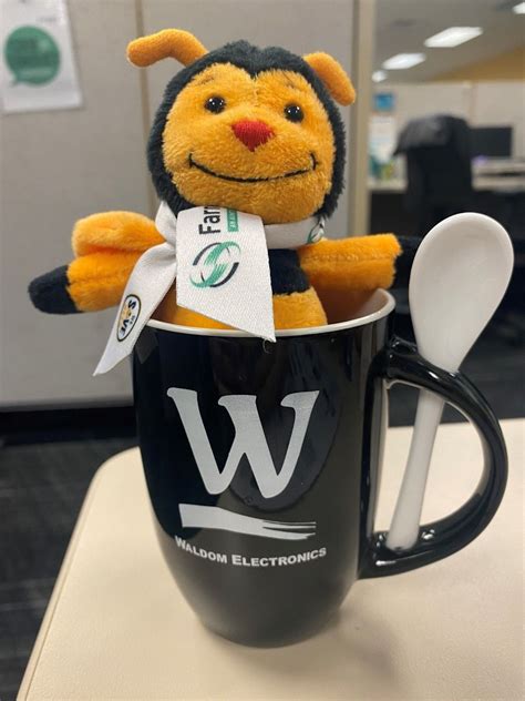 vivek vicky posted on linkedin