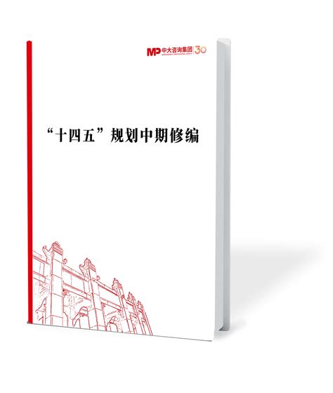 十四五规划中期评估调整 十四五规划 中大咨询