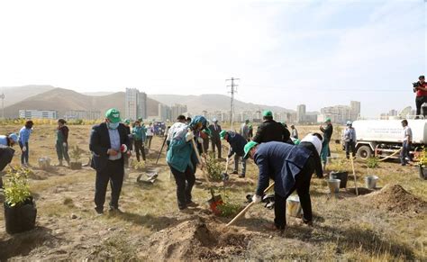 Үндэсний цэцэрлэгт хүрээлэнд 10 гаруй төрлийн мод тарилаа