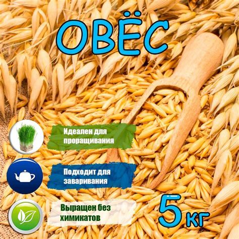 Овес кормовой для животных и птиц / Натуральное зерно овса для ...