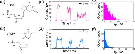Results Of Dgmp And Dtmp Single Molecule Measurements A B
