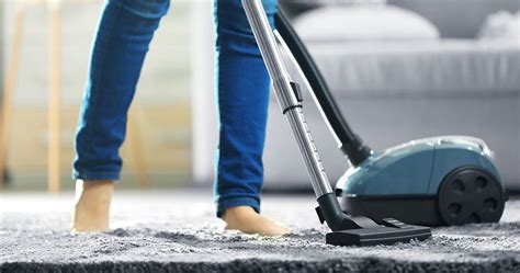 How To Get Rid Of Fleas In Your House Classic Pest Control Insulation