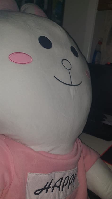 Im Looking For Where To Find This Big Bunny Llushie With A Pink Sweater Shirt That Says Happy