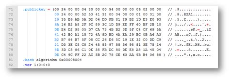 Dot Net Assemblies And Strong Name Signature Infosec