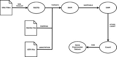 RNA Seq Gene Expression Integration Pipeline Download Scientific Diagram