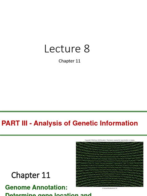 Lecture 8 Chapter 11 Pdf Complementary Dna Gene