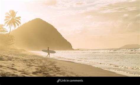 Cruise Planners Marcee Smith Florida City Fl