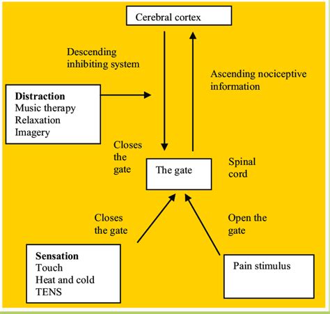 Gate Control Theory