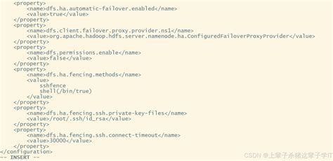 【hadoop高可用集群搭建】配置和启动hadoop高可用集群，解决单点故障问题 Csdn博客