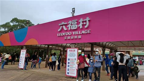 兇猛「東非狒狒」脫逃？六福村「清點數量」：園內數量未少 生活 三立新聞網 Setncom