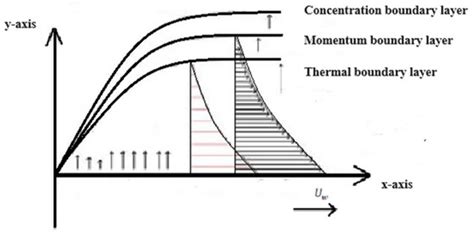 Processes Free Full Text An Efficient And Accurate Approach To Electrical Boundary Layer