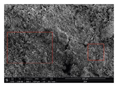 Sem Of Fracture In A Saturated State Download Scientific Diagram