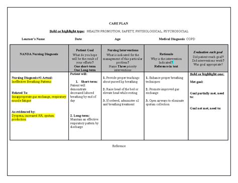 Care Plan Template Care Plan Bold Or Highlight Type Health Promotion