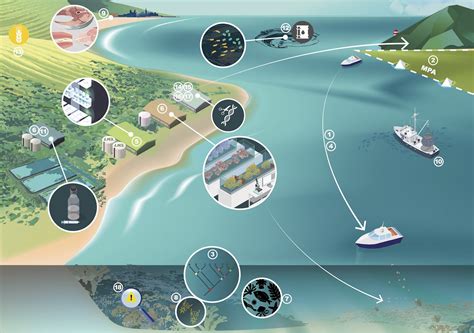 Advanced Genomic Approaches Hold Promise For Marine Conservation