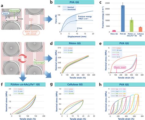 Fracture Toughness Hysteresis Elasticity And Plasticity Of The Ggs A