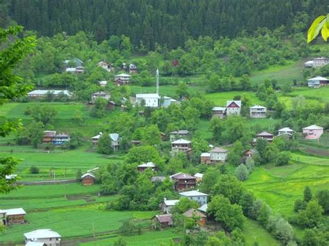 ხულოში მეჩეთი გაქურდეს 1tv