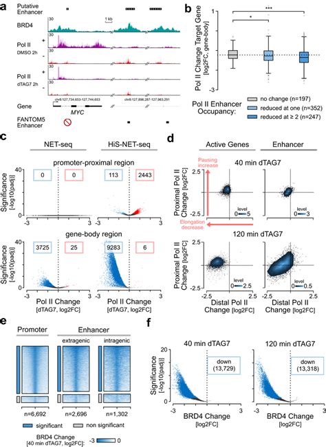 Brd4 Controls Transcription Elongation At Genes And Enhancers A Target Download Scientific