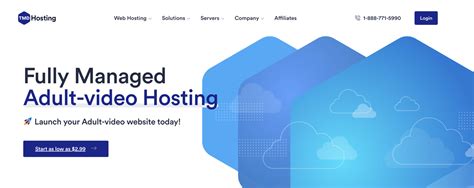 3 Best Adult Video Hosting 2025 In Depth Review