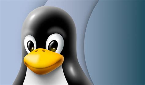 Best Weird And Wonderful Niche Linux Distros In TechRadar