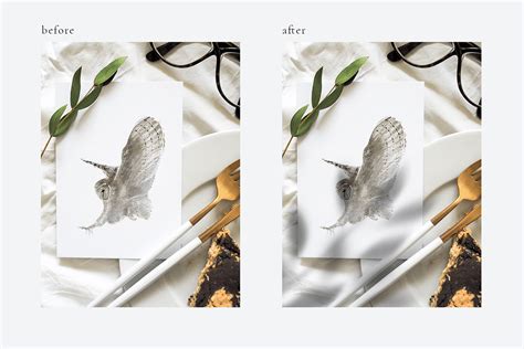 Shadow Mockup Set For Realistic Presentation Branding On Behance