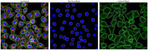 Different Segmentation Workflows — Scportrait