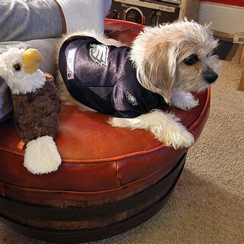 Final Day Of The Countdown Eagles Cassandra L Todd Facebook