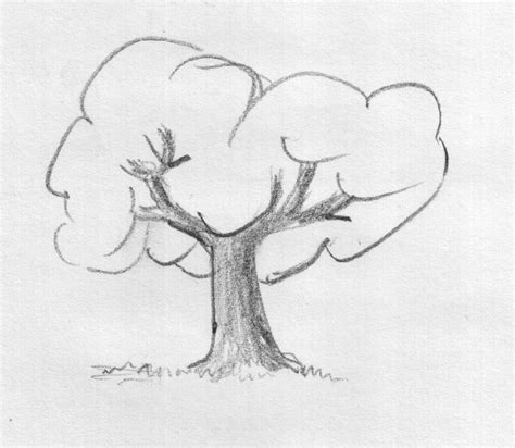 Easy Pencil Drawings Trees Pencildrawing2019