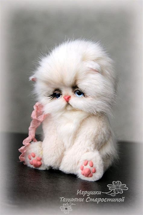 Пушистый белый котенок